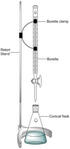 How to Write a Lab Report: Examples from Academic Editors
