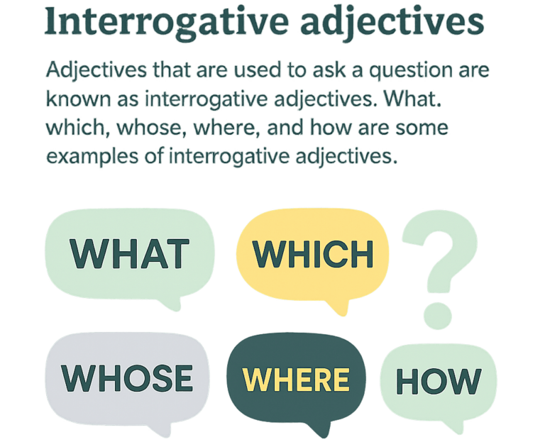 What Is an Adjective? Definition, Usage & Examples