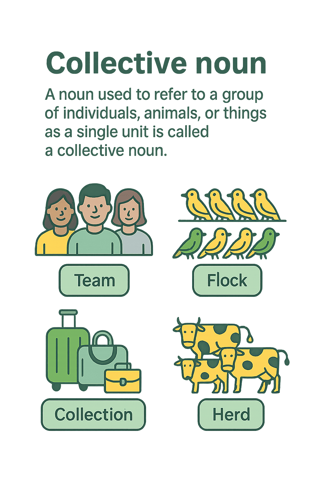 What is a Noun? Definition, Types & Examples