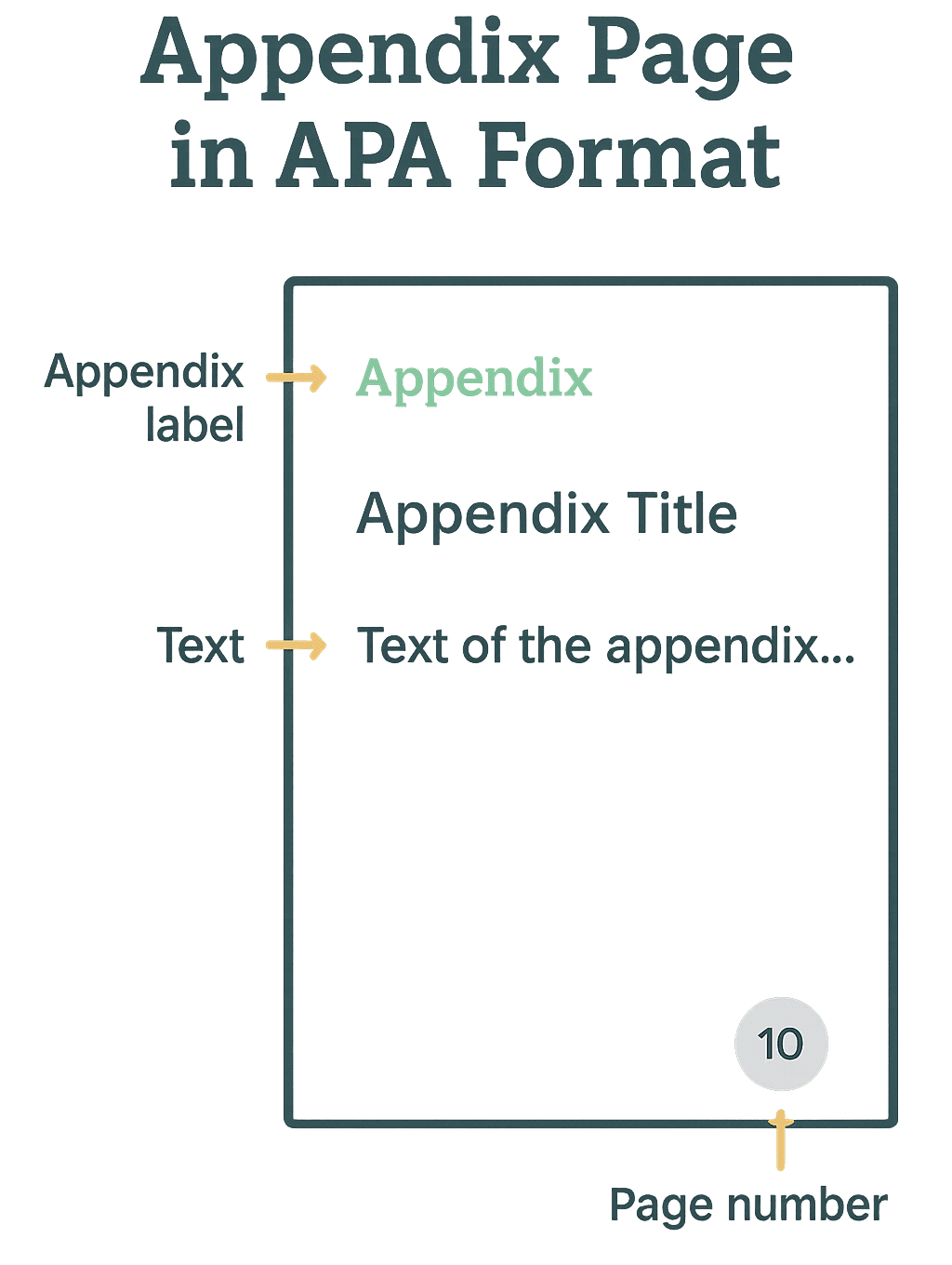 How to Format an Appendix: APA and MLA - PaperTrue